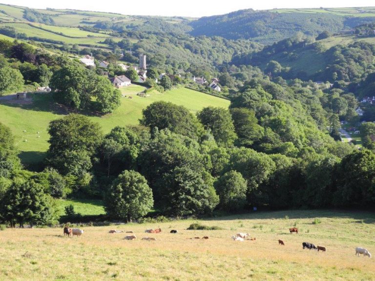 Napps Holidays - Gallery